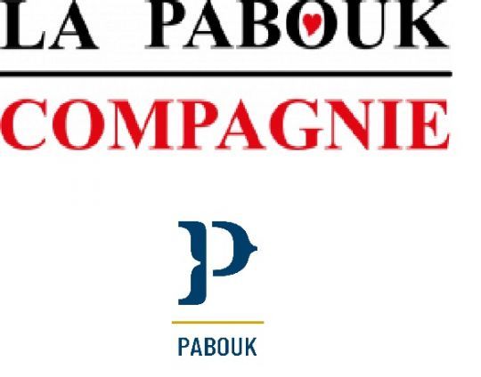 New logo for Vdm Reya, Cousin Trestec, Typhoon, Pabouk: challenges and risks of this evolution