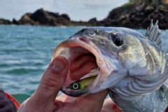 Hullbot: A robot for hull inspection and cleaning