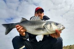 Hullbot: A robot for hull inspection and cleaning