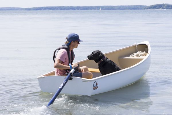 TEMO expands into the United States with a new operating subsidiary